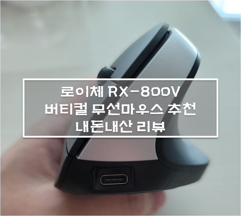 로이체 RX-800V 버티컬 무선마우스 추천 | Top_Mental